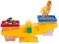 Junior Balance | McRuffy Press